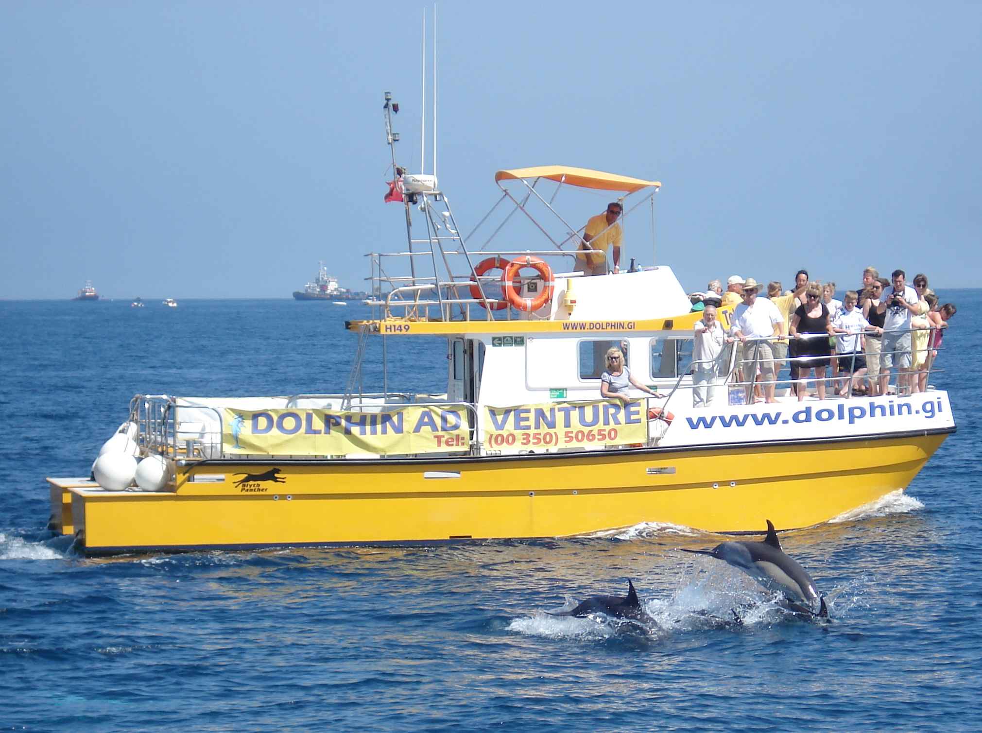 Dolphin Experience • Gibraltar Nature Reserve