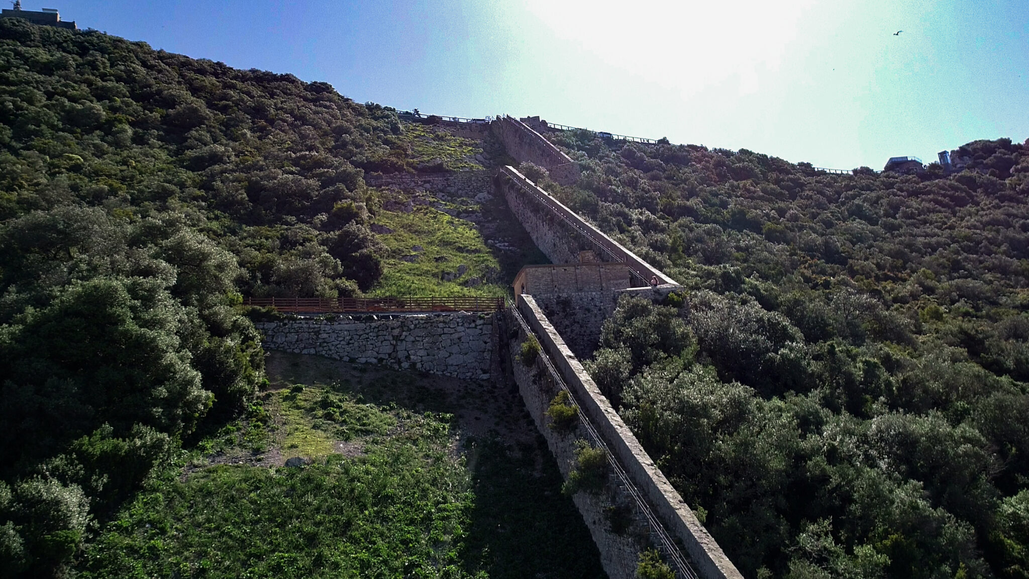 Charles V Wall • Gibraltar Nature Reserve